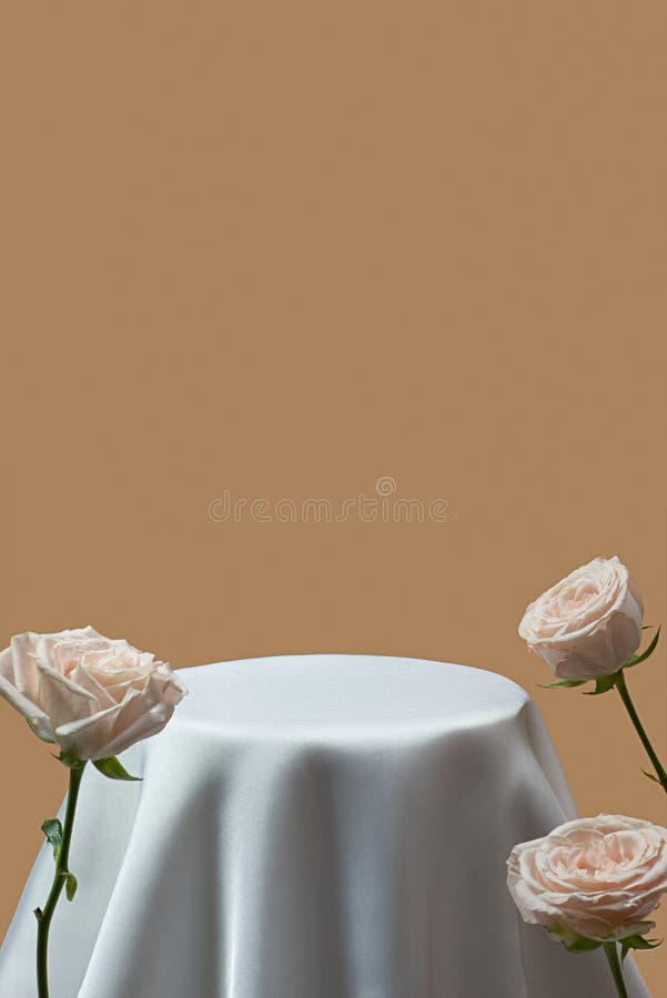 Pink Roses on a Beige with a Podium Stock Photo - Image of single ...