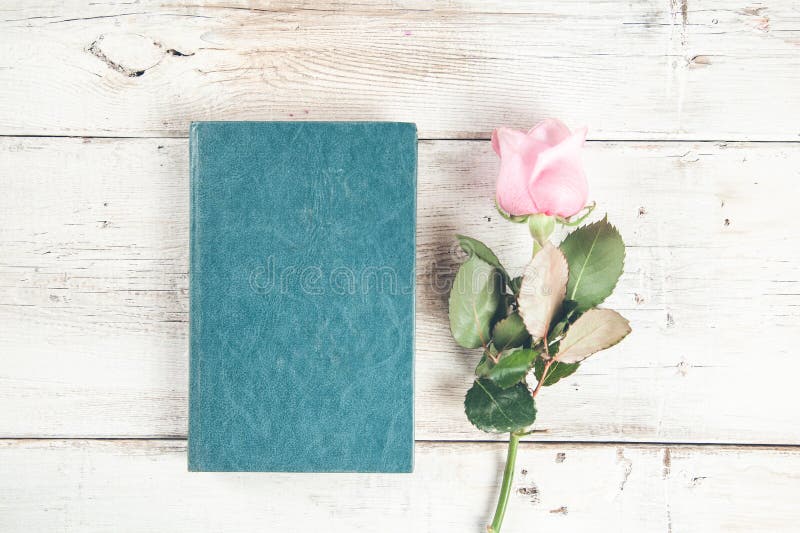 Pink Roses on Blue Book on Desk Stock Photo - Image of pink, roses ...