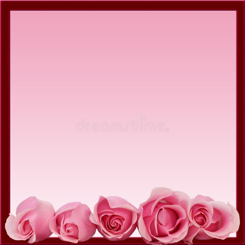 Pink Roses Border Frame Bottom Stock Photo - Image of petals, flowers ...