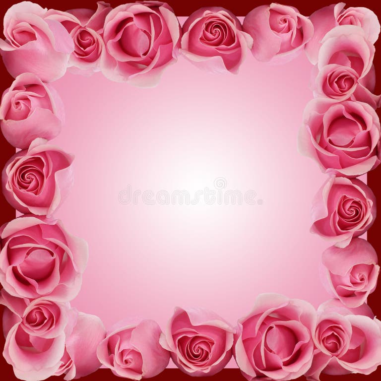 Pink Roses Border Frame Top Side Bottom Stock Photo - Image of edge ...