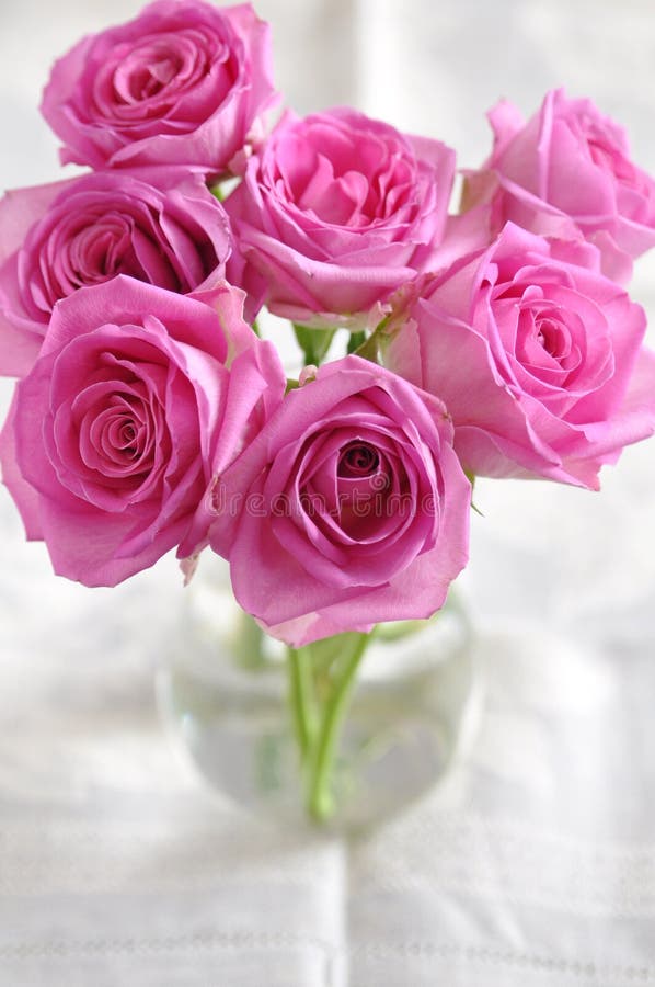 Pink roses. stock photo. Image of buds, aged, decor, dozen - 30762944