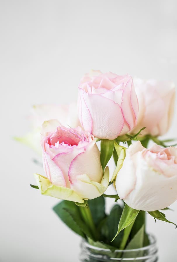 Pink Roses Bouquet, Soft Delicate Roses Closeup, Spring Roses Bouquet ...
