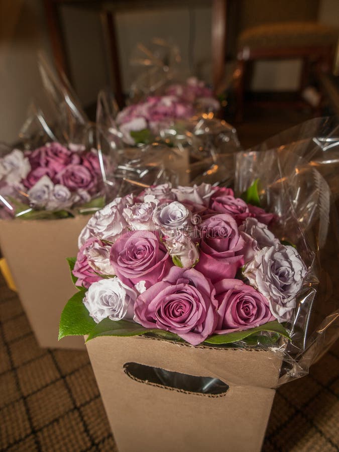 Pink Roses in Boxes stock image. Image of bouquet, rose - 62951859