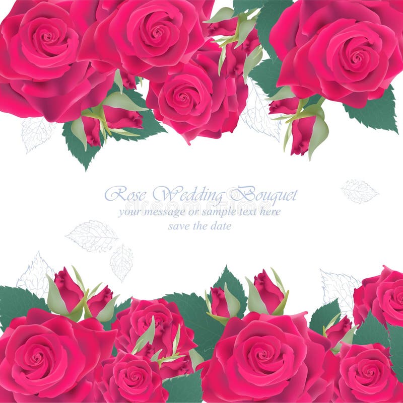 Pink Roses Card Vector. Delicate Summer Card Stock Vector ...