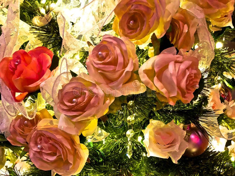 Pink Roses Christmas Decorations Stock Image - Image of rose, roses ...