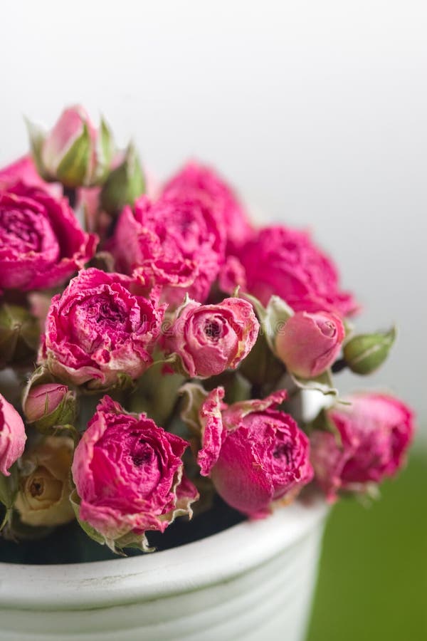 Pink Roses in a Decorative Bucket Stock Image - Image of gift, bouquet ...