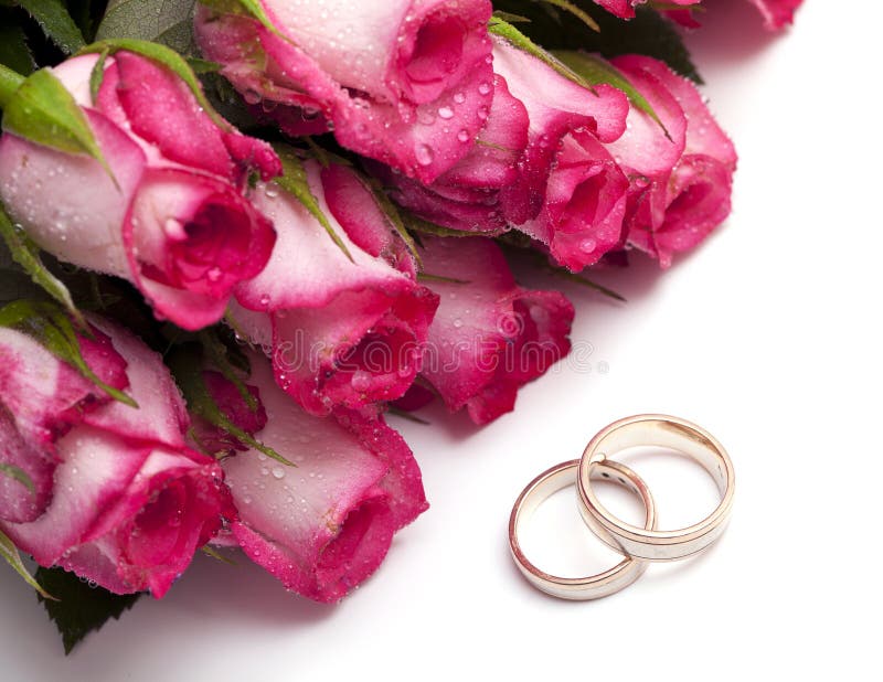 Wedding Rings in Roses stock photo. Image of pretty, groom - 4973374