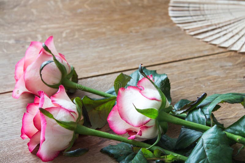 Pink Roses with Fan on Wooden Board Stock Photo - Image of table ...