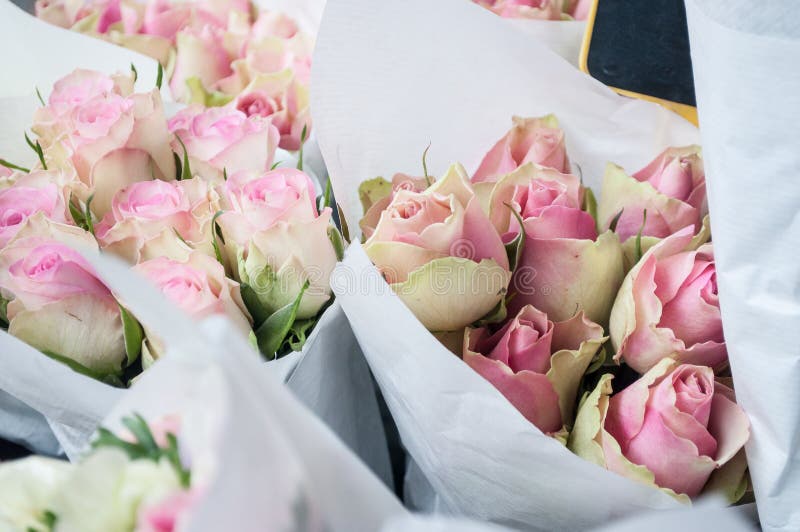 Pink roses at florist stock photo. Image of pink, nature - 88300346
