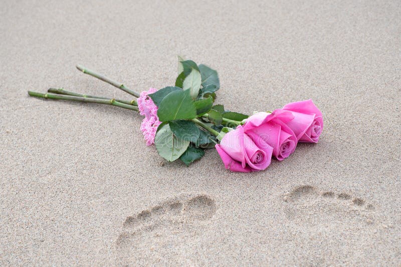 Pink Roses and Footprints on Wet Sand Stock Image - Image of leaf ...