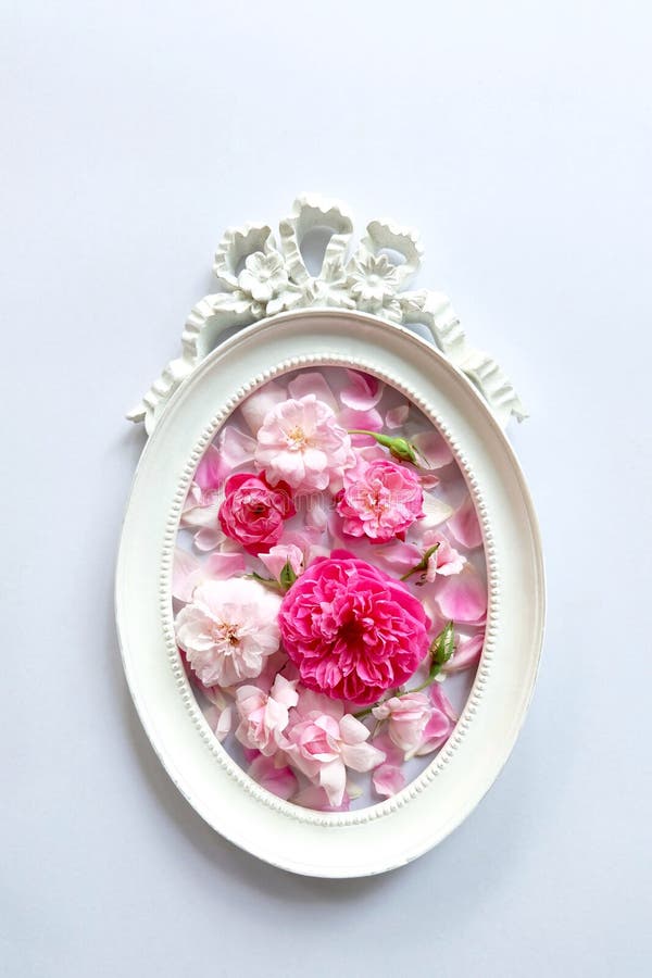 Pink roses and frames stock image. Image of decor, rose - 64389799