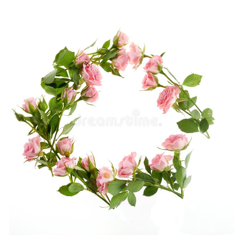 Red Roses on Framework Facade with Green Window Shutter of Wood Stock ...