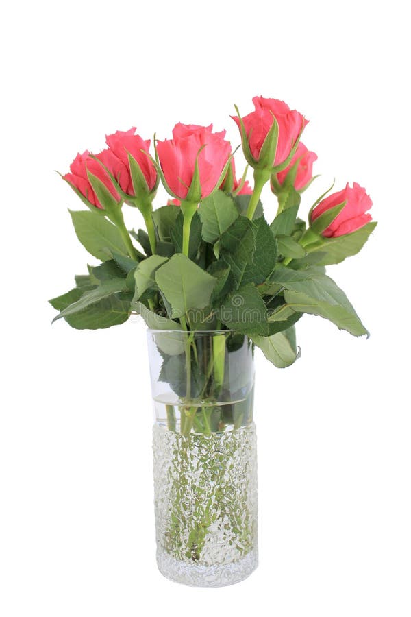Pink Roses in Glass Vase stock image. Image of bloom - 35986905