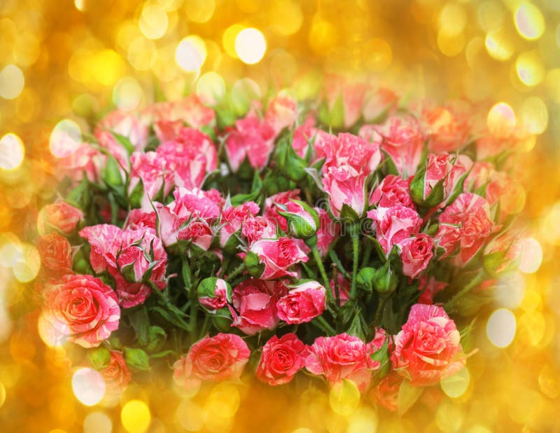 Pink roses in gold sequins stock image. Image of floral - 134850837