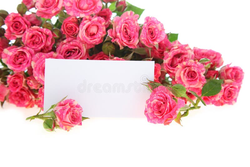 Pink Roses and Greeting Card Stock Image - Image of valentine ...