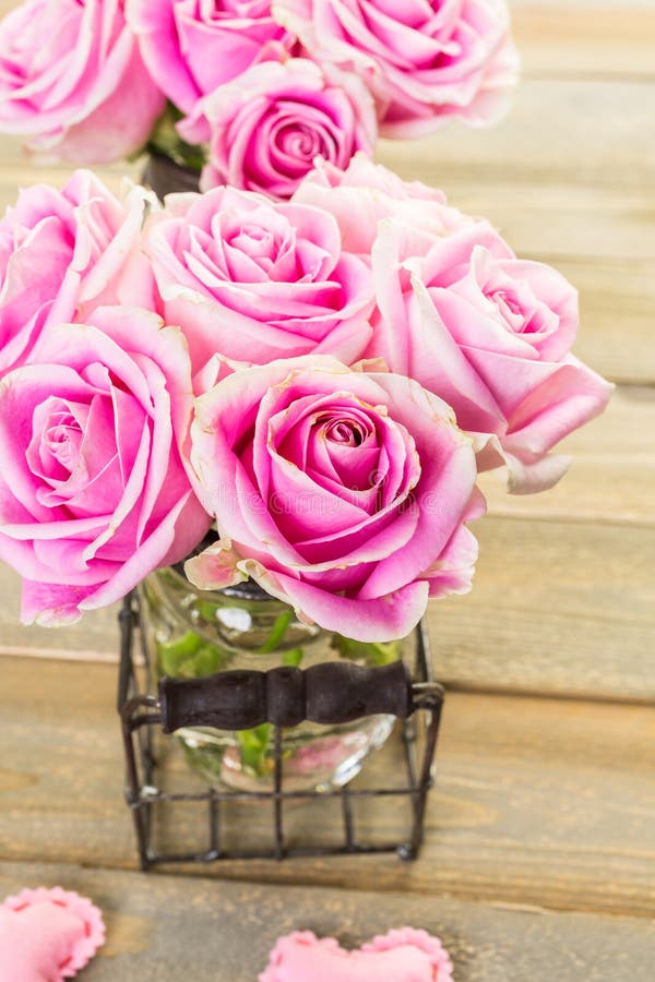 Pink roses stock photo. Image of holiday, rosaceae, blooming - 88380326