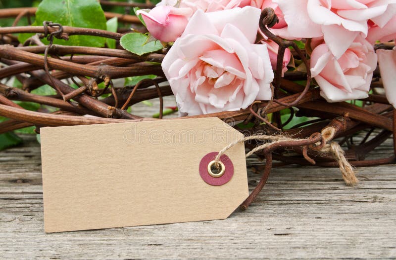 Pink roses stock image. Image of beauty, twigs, congratulations - 32547983