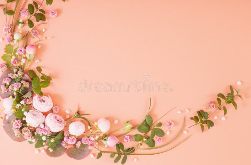 Roses with Leaves on Paper Background Stock Photo - Image of paper ...