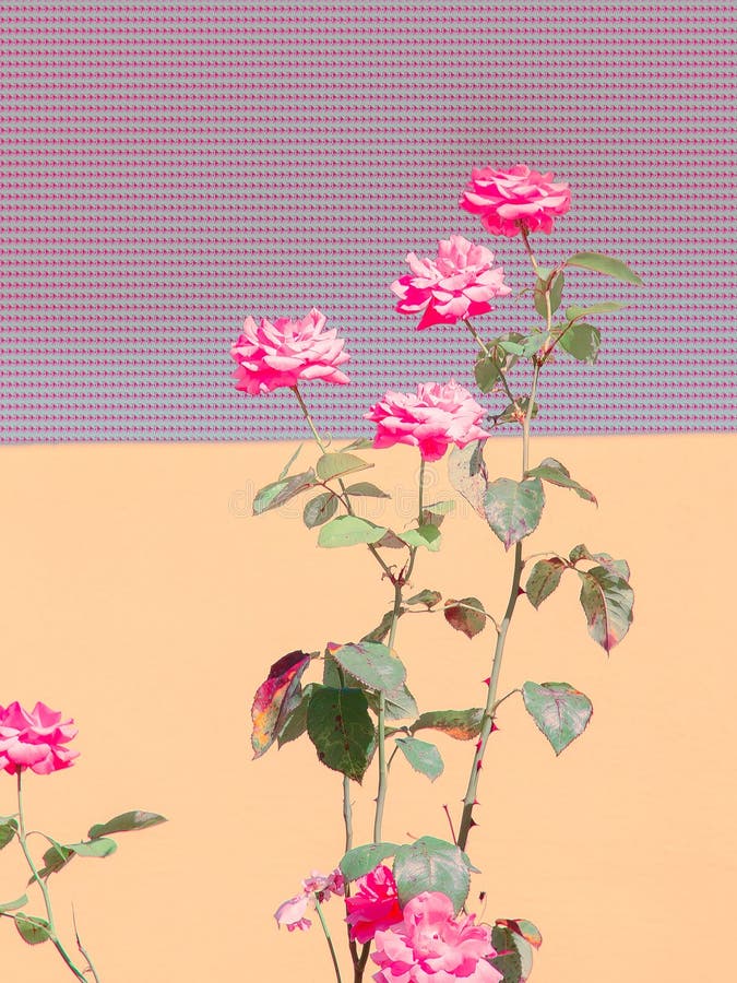 Ipad Wallpapers 4k Stock Photos - Free & Royalty-Free Stock Photos from ...