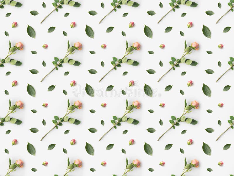 Pink Roses with Petals Placed in a Rows Stock Image - Image of pink ...