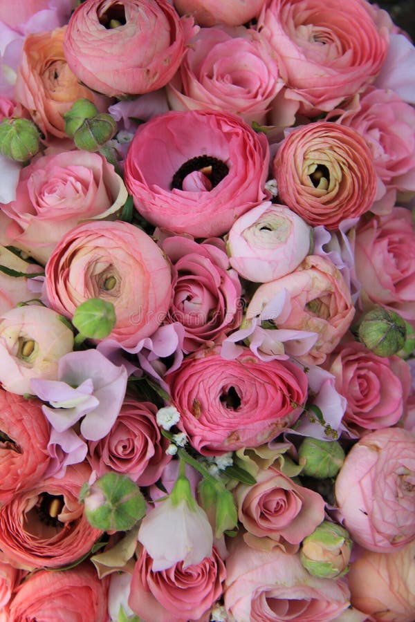 Pink Roses and Ranunculus Bridal Bouquet Stock Photo - Image of nature ...
