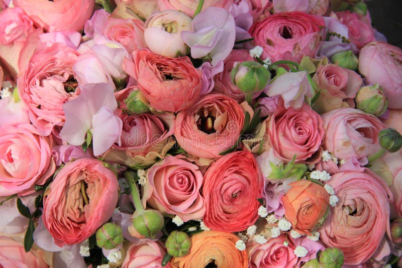 Pink Roses and Ranunculus Bridal Bouquet Stock Photo - Image of rose ...
