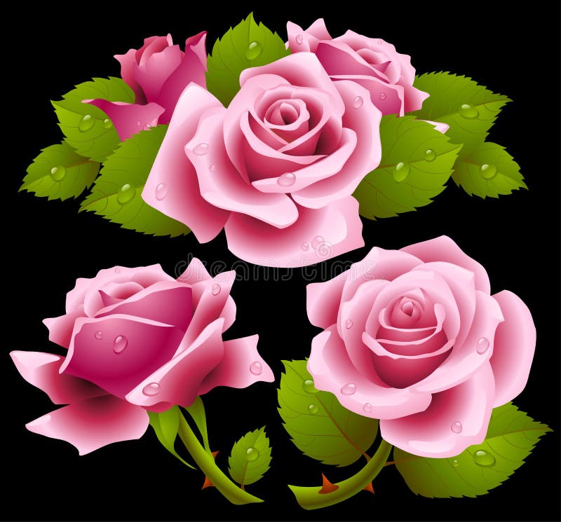Three Roses in the Shape of Heart Stock Vector - Illustration of ...
