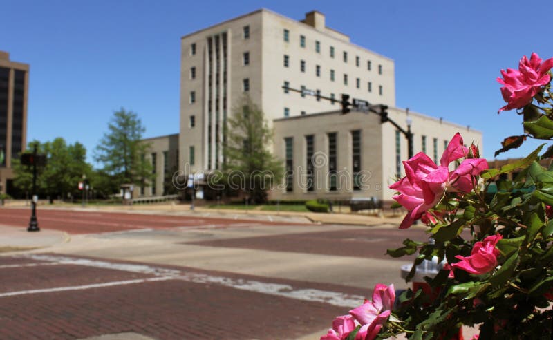 Pink Roses with Smith County Courthouse Tyler, TX in Background Stock ...