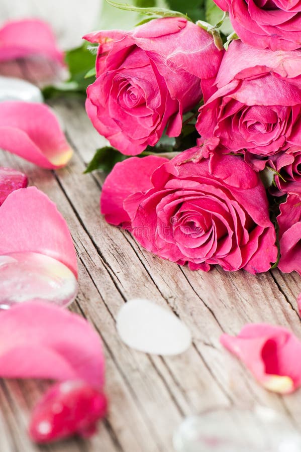 Pink roses stock photo. Image of love, arrangement, decoration - 30522870