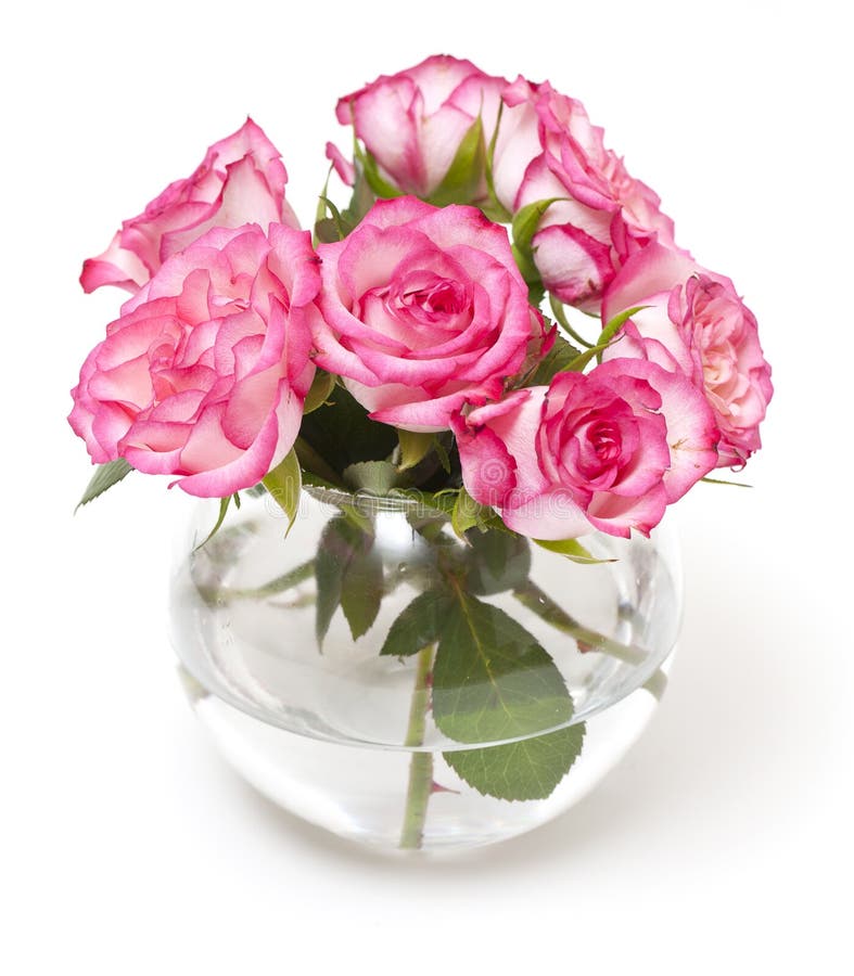 Pink roses in vase stock image. Image of beautiful, marriage - 23283479
