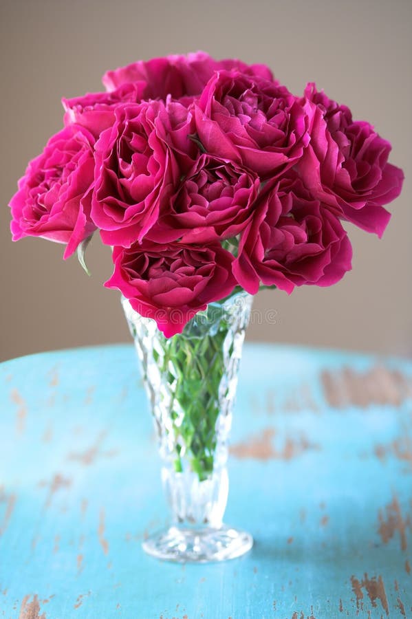 Pink Roses in Vase stock image. Image of fresh, gardening - 2628777