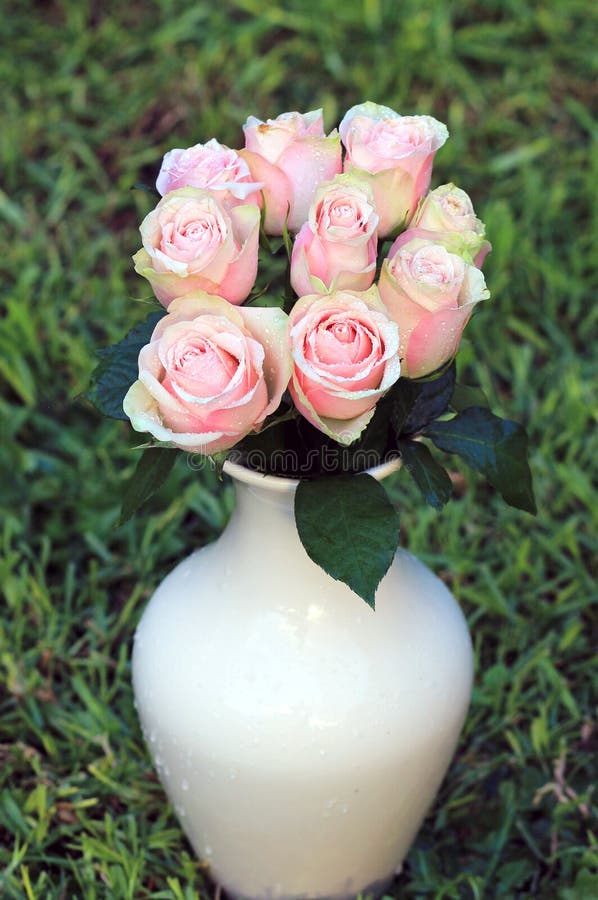 Pink roses in a vase stock photo. Image of table, romantic - 42454476