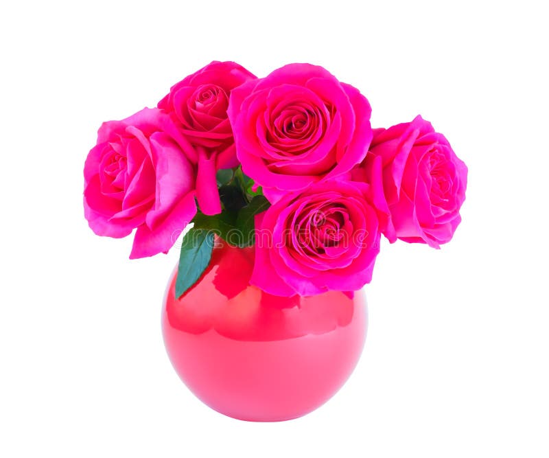 Pink Roses in Vase Isolated on White Stock Photo - Image of pink ...