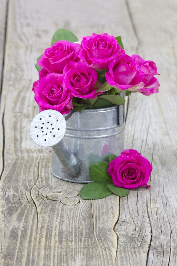 Pink roses in a basket stock photo. Image of mother, lovely - 29539076