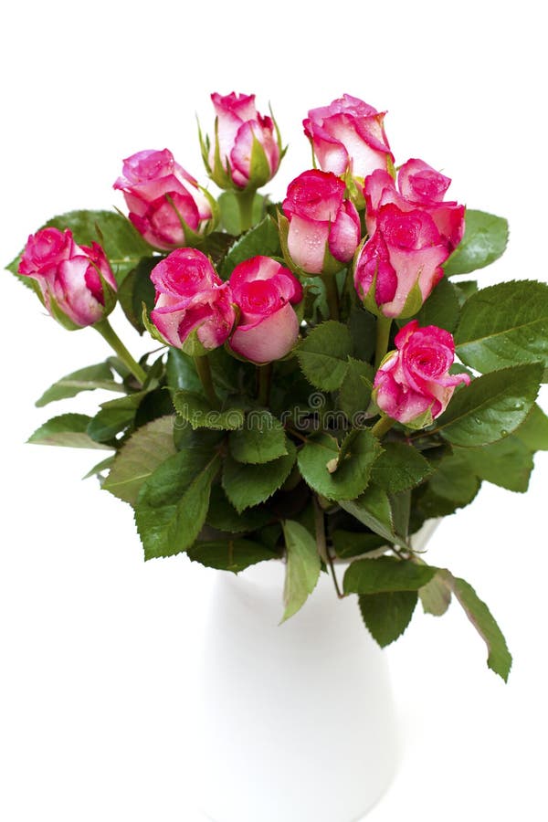 7+ Large pink rose vase Free Stock Photos - StockFreeImages