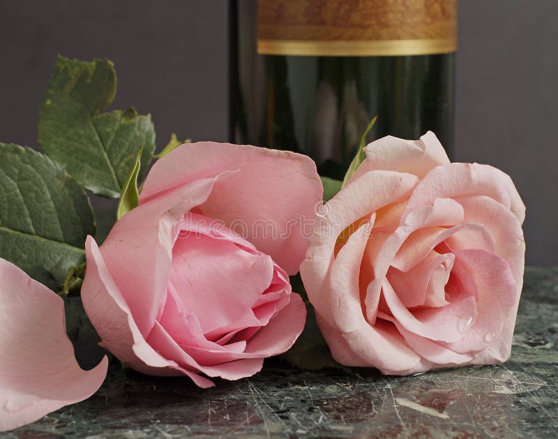 Wine and Roses stock image. Image of botanical, birthday - 5815915