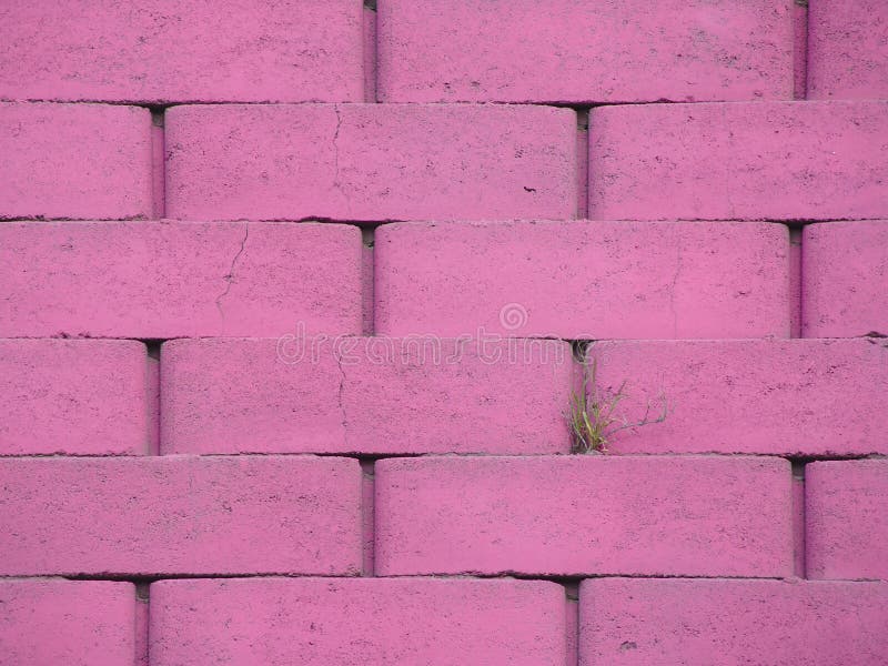 Pink rough wall of blocks stock photo. Image of vintage - 193342204