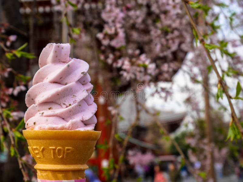 Pink sakura ice cream cone stock photo. Image of oishi - 86141724