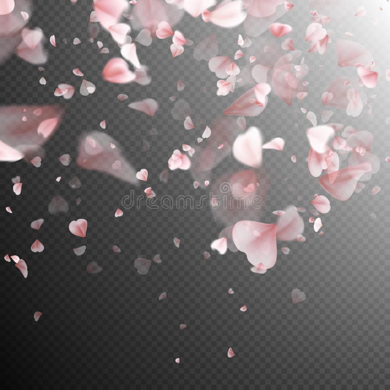 Bright Cherry Petals Fall Down. EPS 10 Stock Vector - Illustration of ...