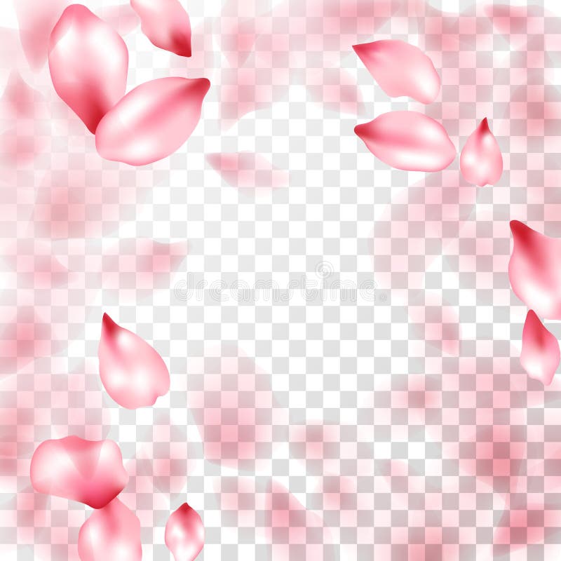 Pink Sakura Petals Falling Vector Graphics. Stock Vector - Illustration ...