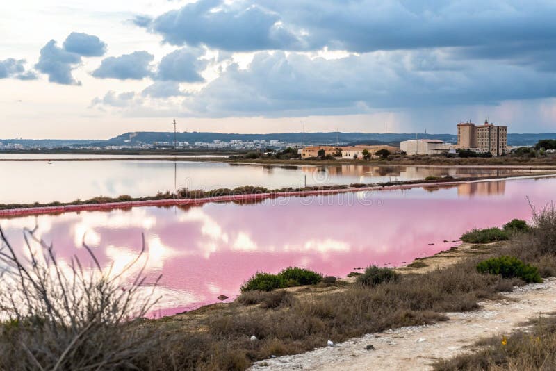Pink Saline Landscape with Buildings Stock Illustration - Illustration ...