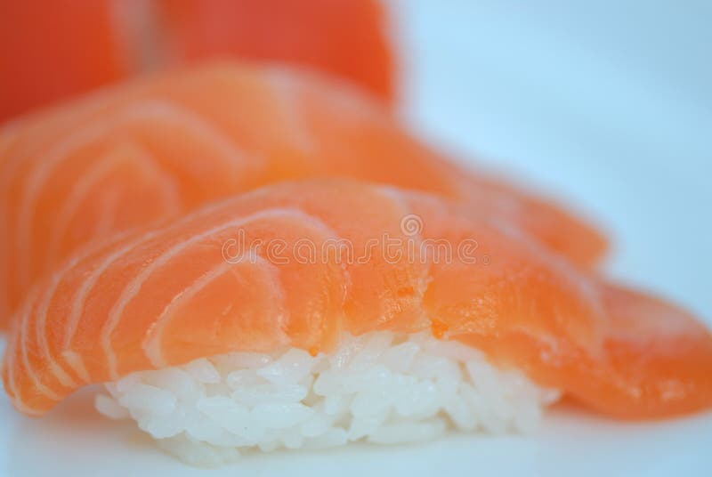 Pink Salmon Picture. Image: 2528827