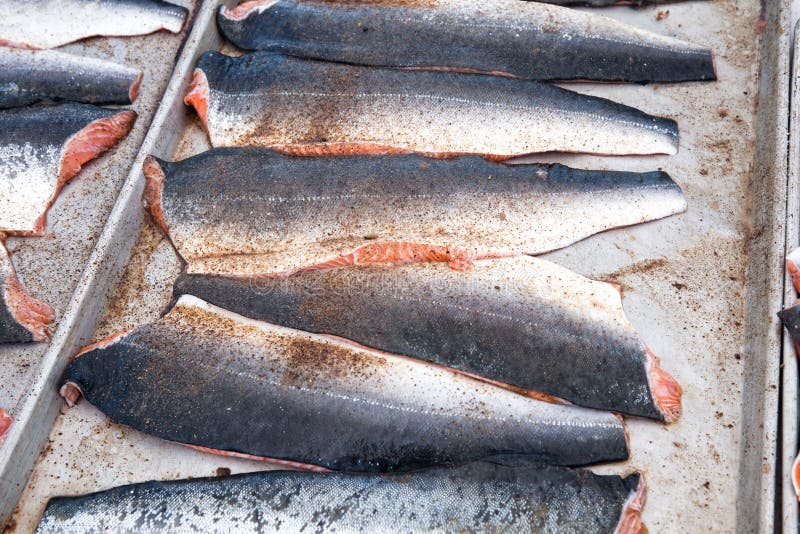 Pink Salmon Fish stock image. Image of pink, fish, food - 187041391