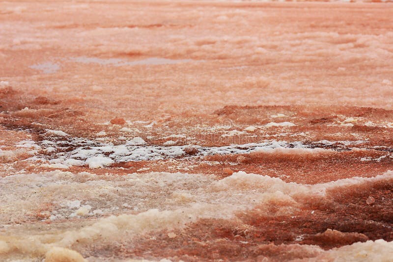 Pink Salt Lake in Namibia stock image. Image of rural - 146718399