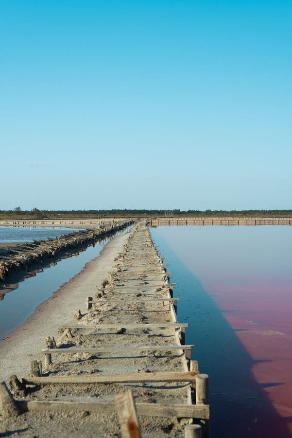 Pink Salt Lake. Production of Pink Salt Stock Image - Image of focus ...