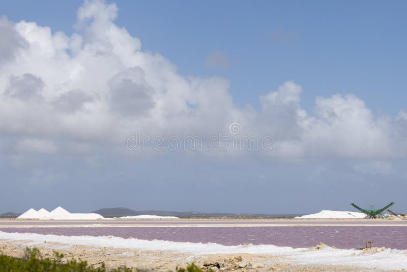 Pink Salt Lakes on Bonaire. Salt Industry. Stock Photo - Image of lake ...
