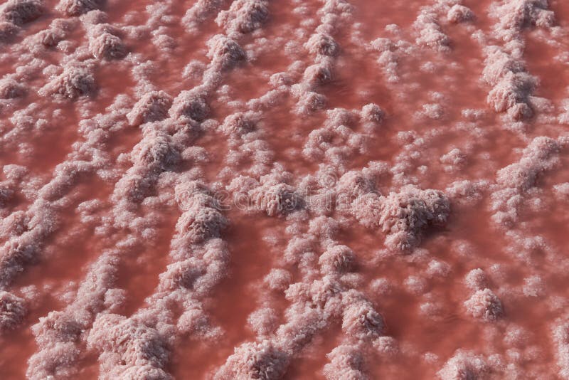 Pink salt stock photo. Image of industry, texture, sediments - 76725110