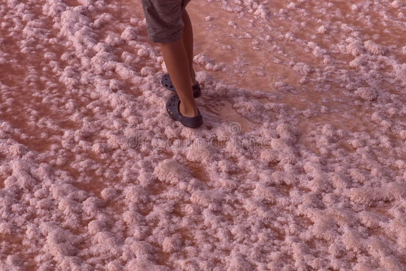 Pink salt stock photo. Image of production, pink, industry - 76725146