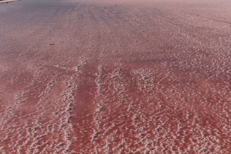 Pink salt stock photo. Image of sediments, salt, industry - 76725166