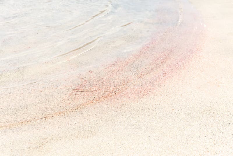 Pink Sand on the Beach. Pink Beach Stock Image - Image of seascape ...
